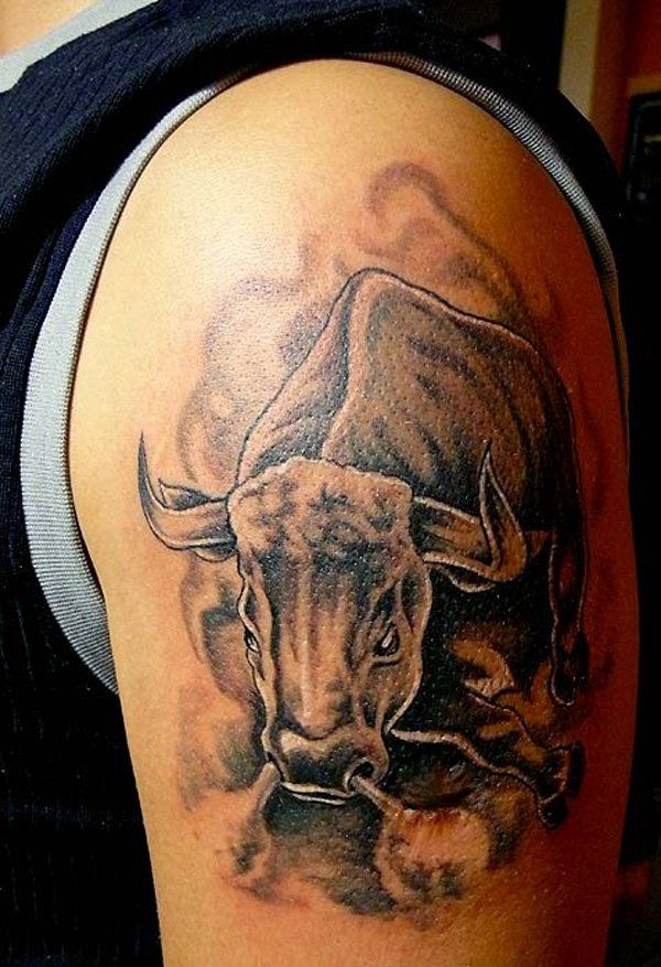 Bull Tattoos Designs Ideas And Meaning Tattoos For You