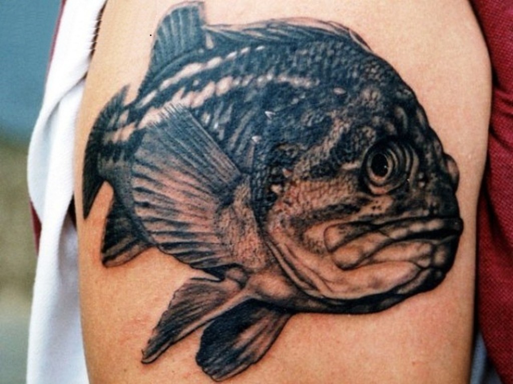 Fish Tattoos Designs, Ideas and Meaning - Tattoos For You